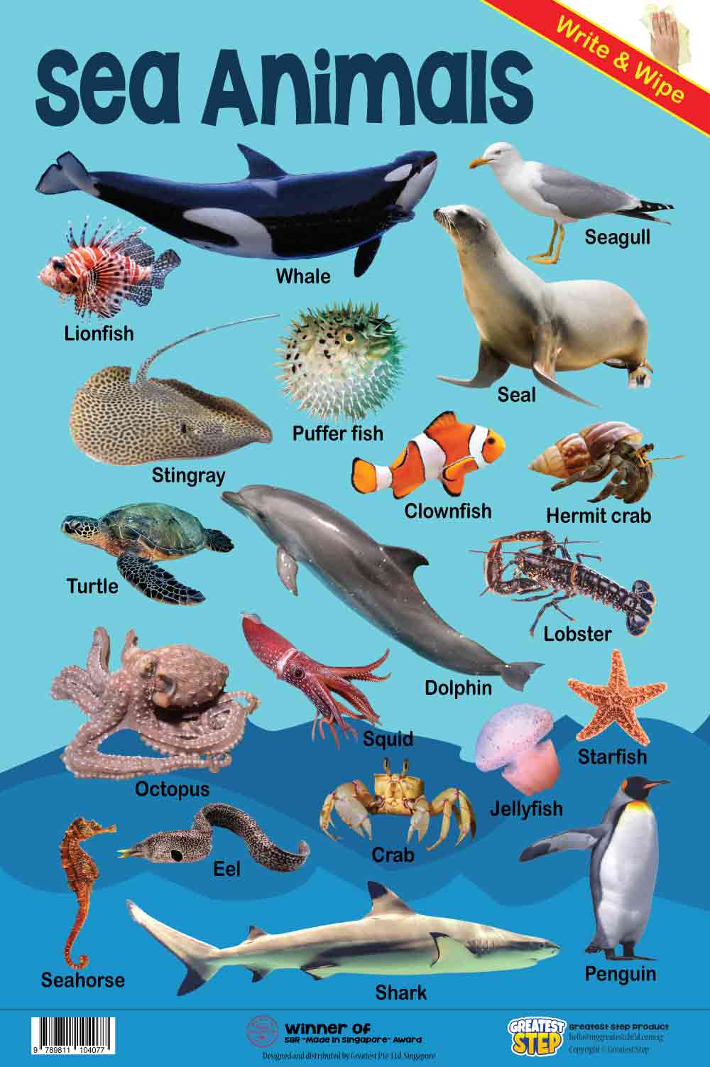 #13. Sea Animals – Greatest Step Children's Educational Poster – My ...