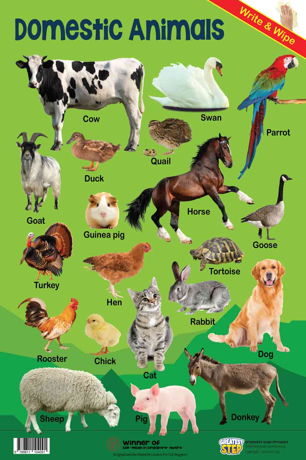 #12. Domestic Animals – Greatest Step Children's Educational Poster ...